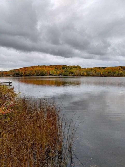 0 Rushton Rd, Central Lake, MI 49622 | Zillow