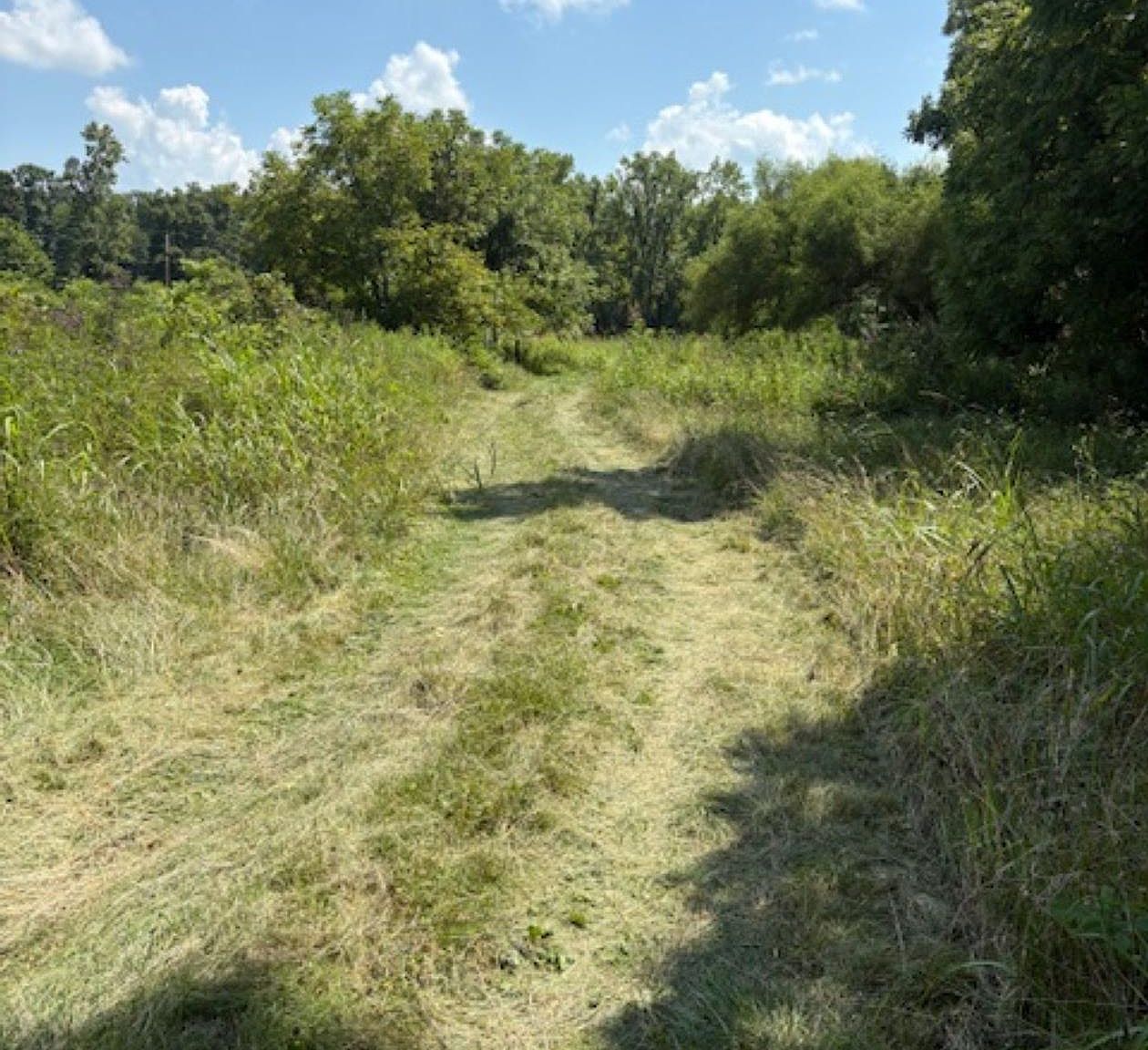 3946 Childers Rd, Gosport, IN 47433 | Zillow