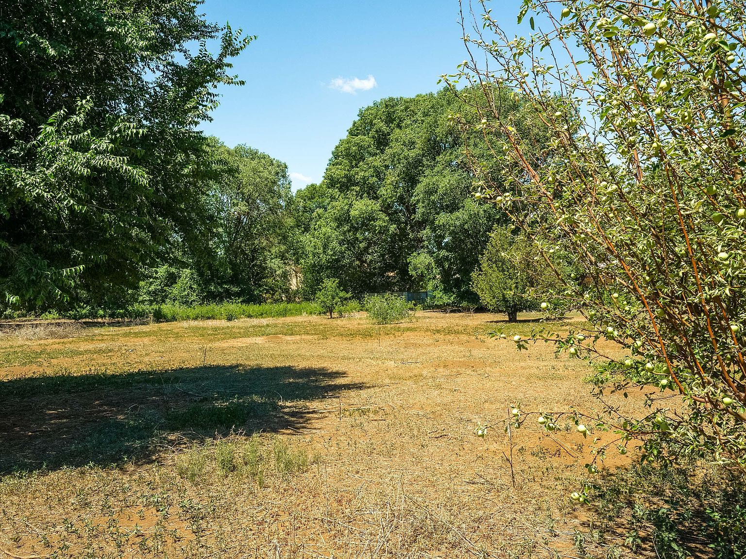 414 Gomez Ranch Rd, Taos, NM 87571 | Zillow