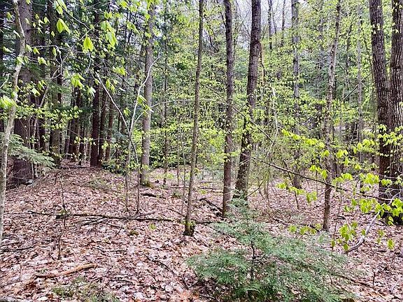 R9L6c Colcord Pond Road, Porter, ME 04068 | MLS #1589036 | Zillow