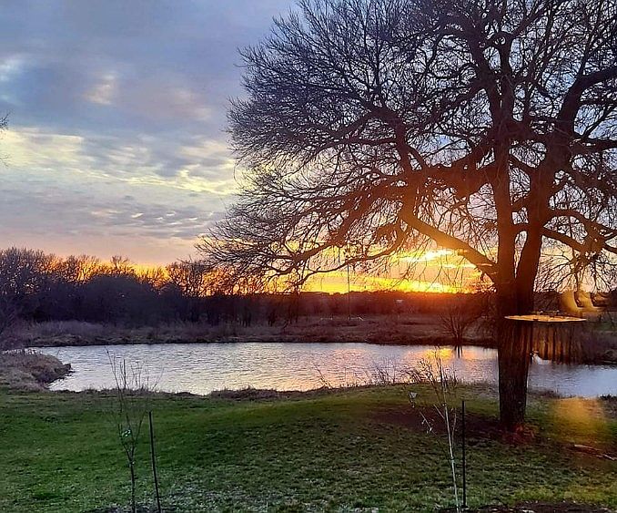 1001 Private Road 5868, Blue Ridge, TX 75424 | MLS #20816990 | Zillow