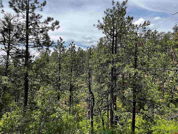 282 Blue Ridge Circle, Bayfield, CO 81122 | MLS #818247 | Zillow