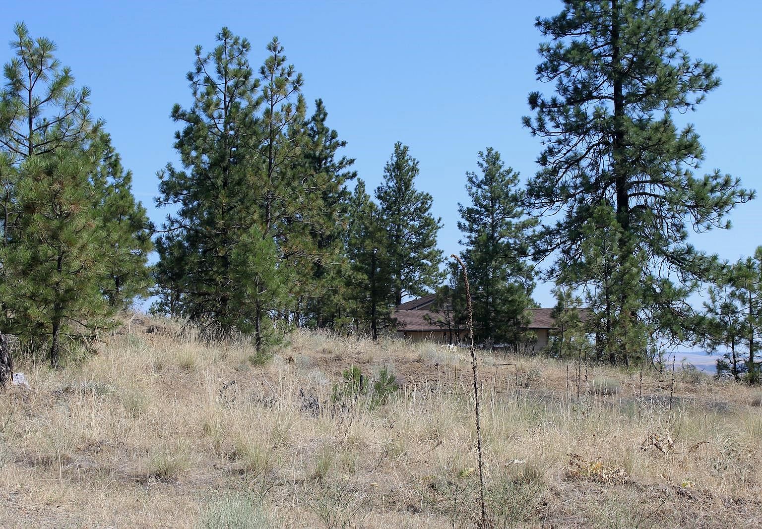 34430 Partridge Ln N, Davenport, WA 99122 | MLS #202319175 | Zillow