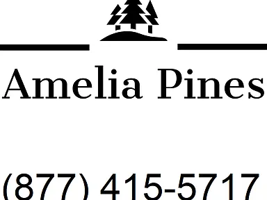 Amelia Pines - 22 - 77049 Deer Ln Yulee FL | Zillow