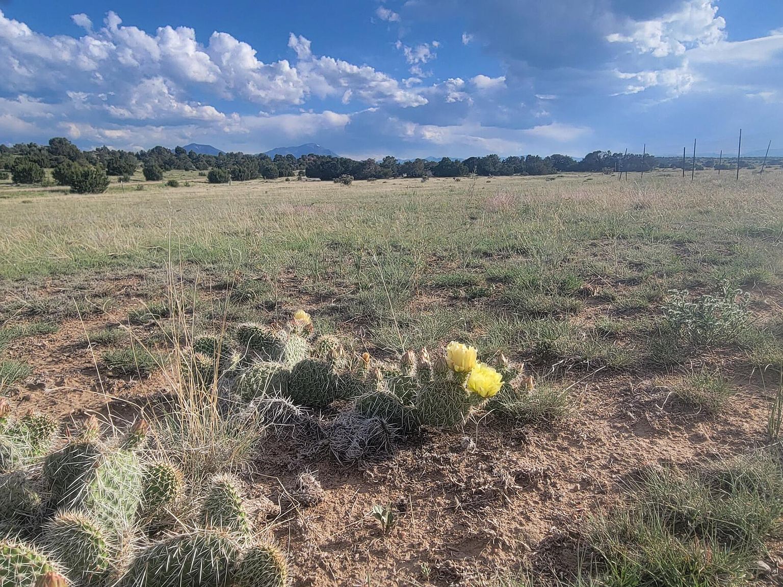 47 Greenhorn Village Trl LOT 1, Walsenburg, CO 81089 | MLS #22-64 | Zillow
