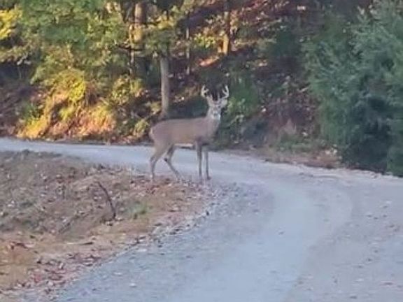 11297 Techniglas Rd NE, Saint Louisville, OH 43071 | Zillow