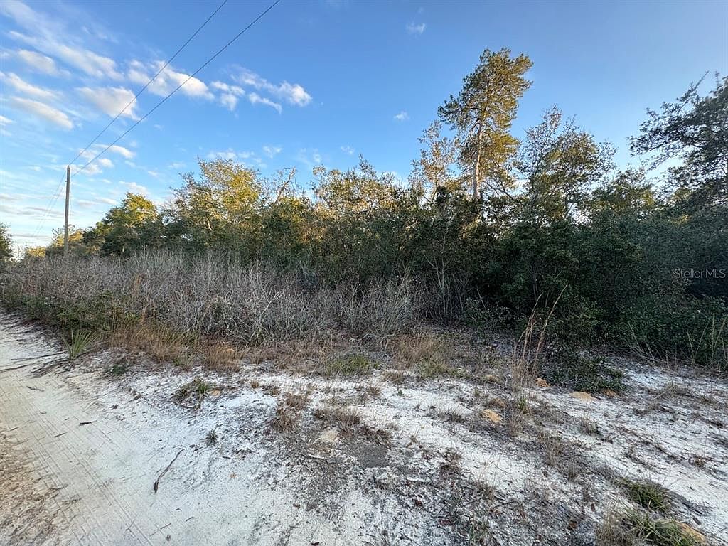 0 NE 236th Pl #26, Fort Mc Coy, FL 32134 | MLS #OM669982 | Zillow