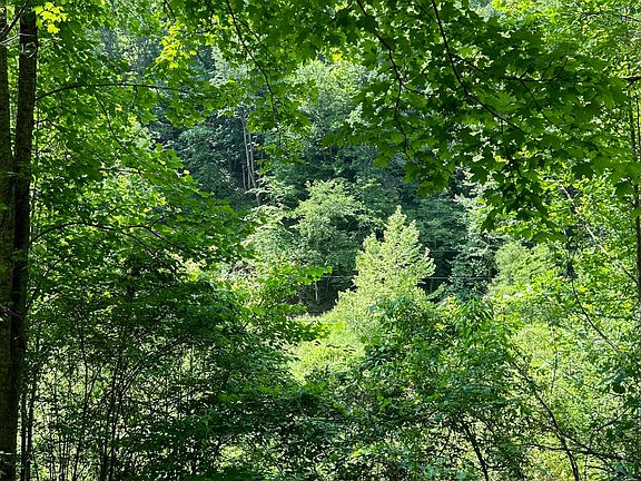 3737 Crane Creek Rd #B, Manchester, KY 40962 | MLS #23013633 | Zillow