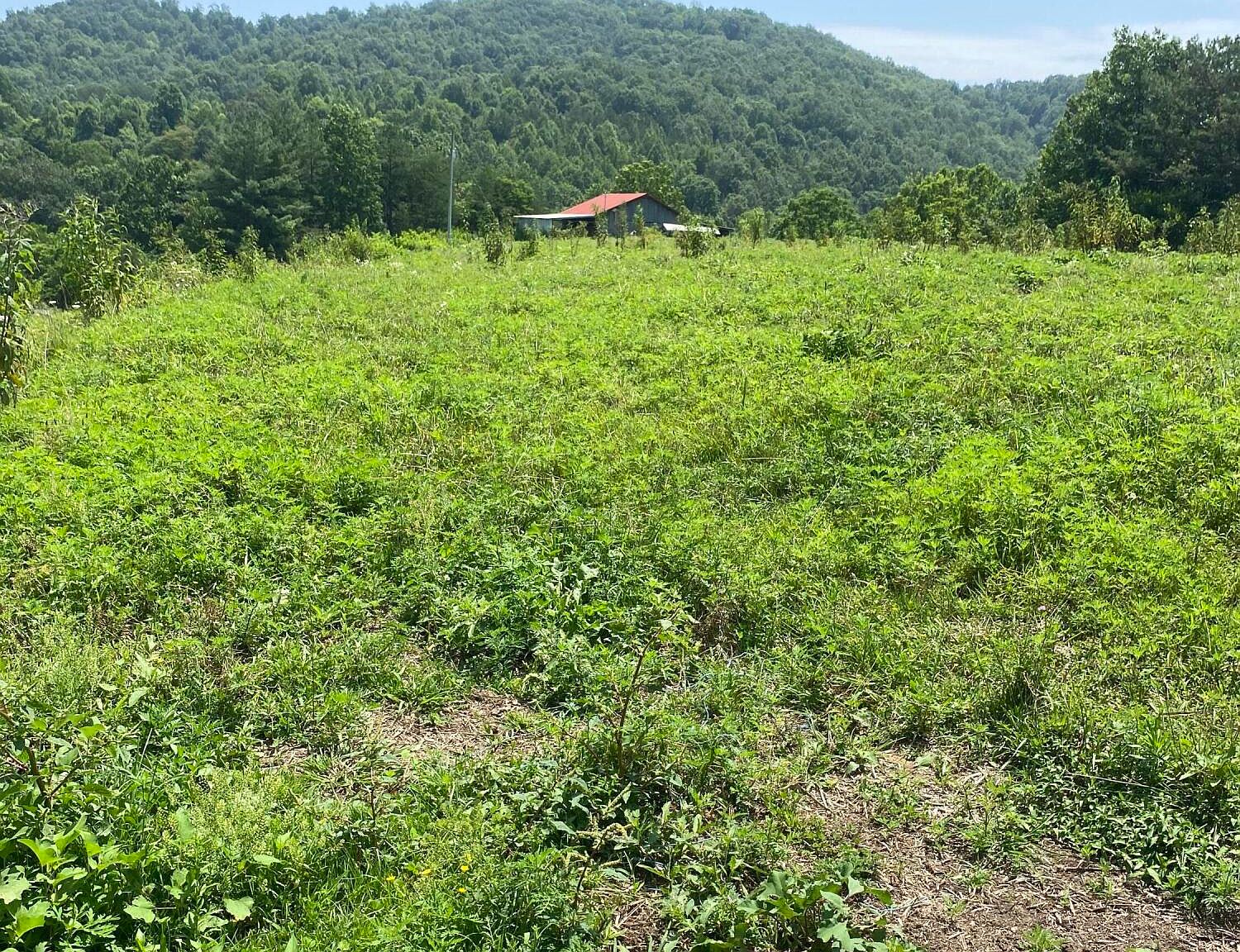 7264 N State Highway 11, Girdler, KY 40943 | Zillow