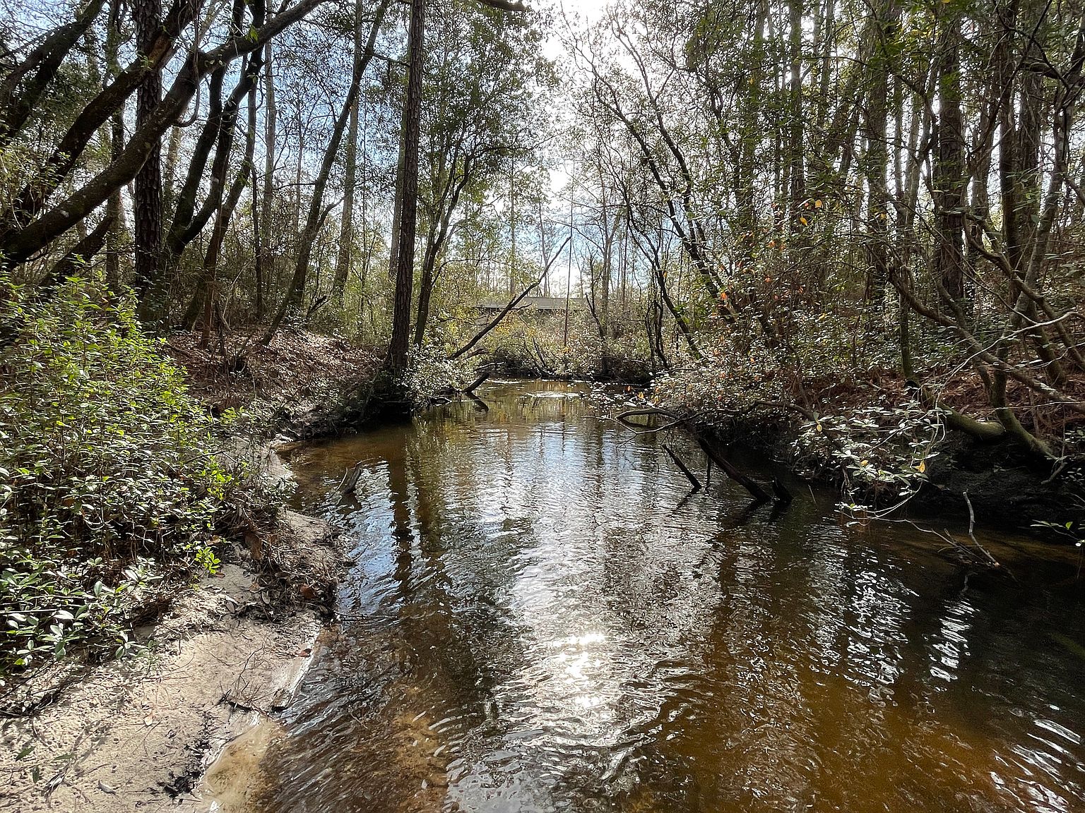 Old Ranch Rd LOT WP001, Wing, AL 36483 | Zillow