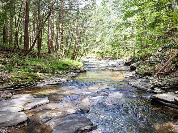 8 Stone Bridge Rd, East Durham, NY 12423 | MLS #154018 | Zillow
