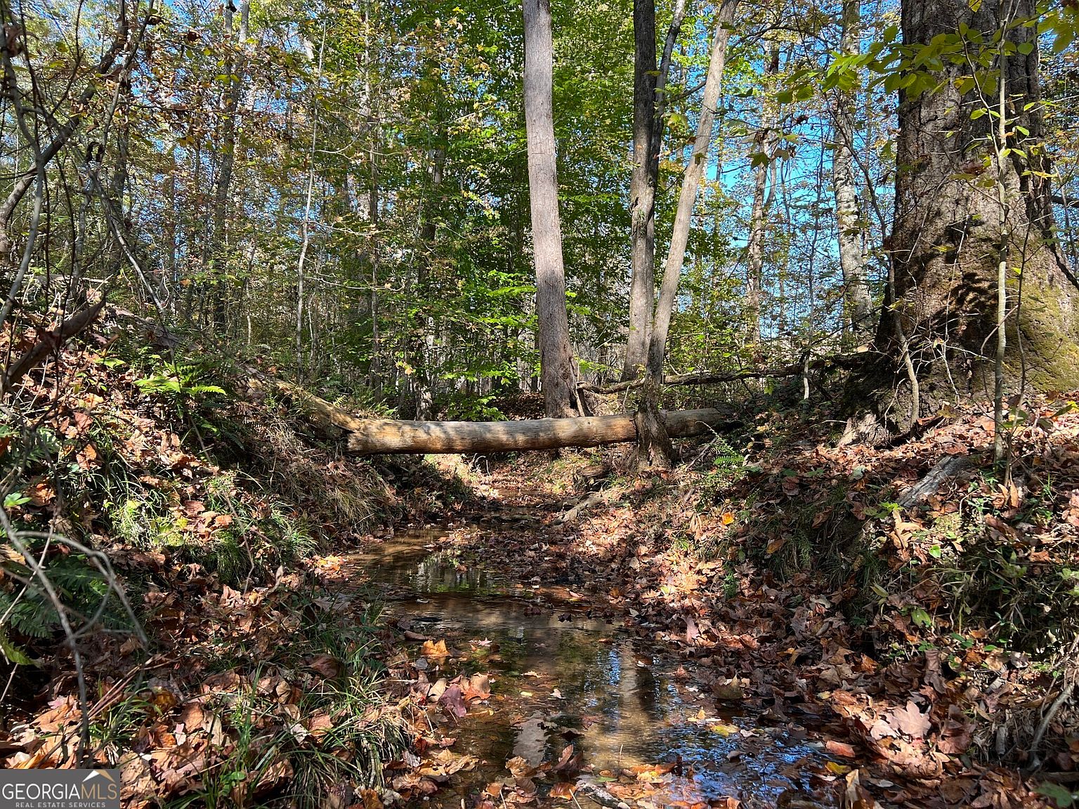 TRACT 3 N Ruckersville Rd, Elberton, GA 30635 | MLS #10375586 | Zillow