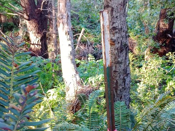 640 Spring Rd, Whitethorn, CA 95589 | MLS #268000 | Zillow