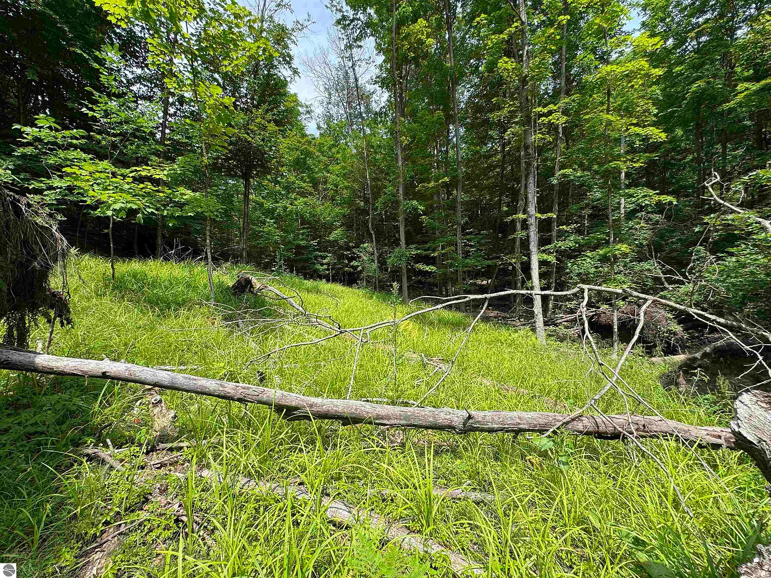 LOT 5 E Bellinger Rd, Cedar, MI 49621 | MLS #1937384 | Zillow