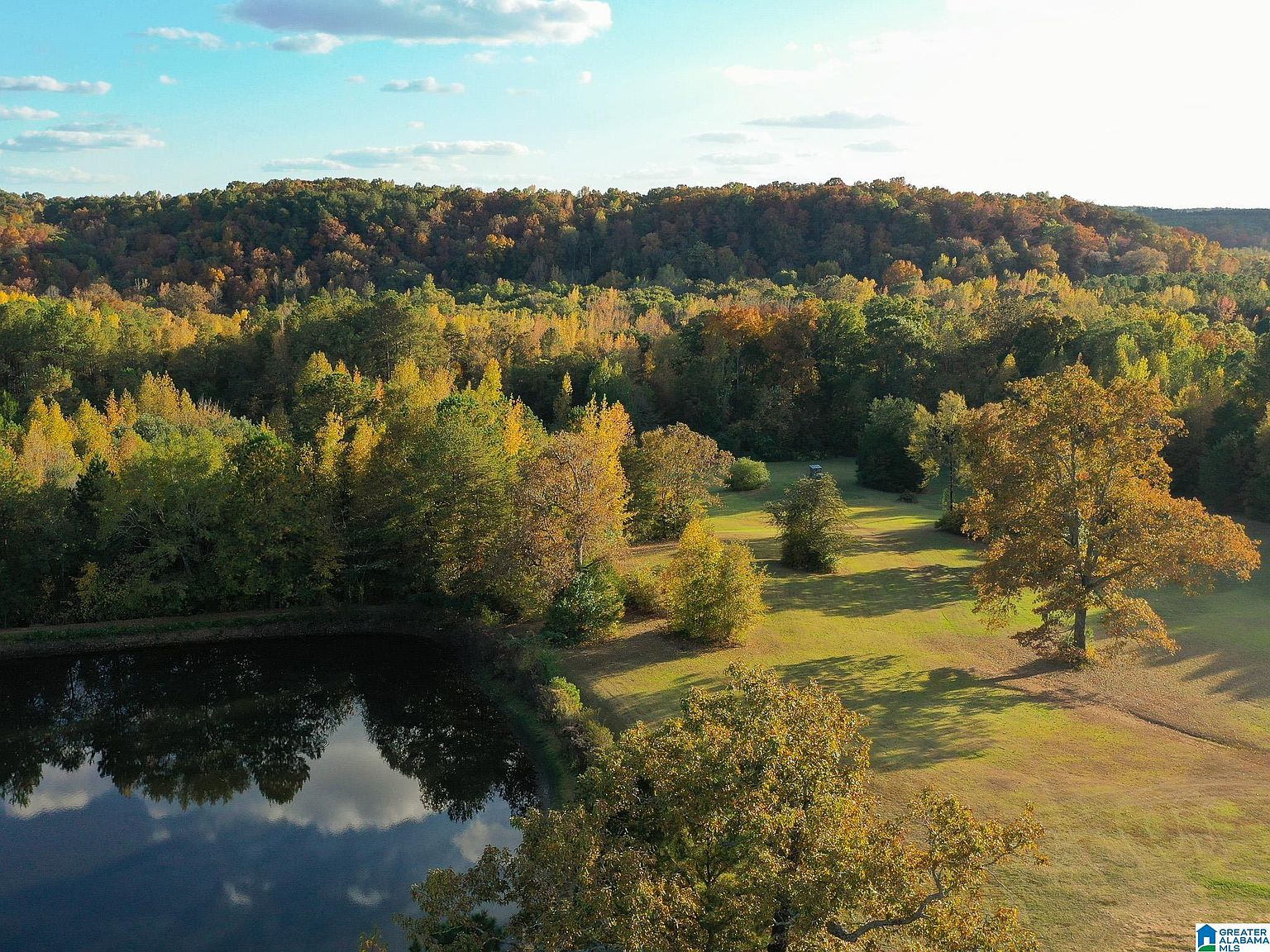 10715 Big Hurricane Rd, Brookwood, AL 35444 | MLS #21369605 | Zillow