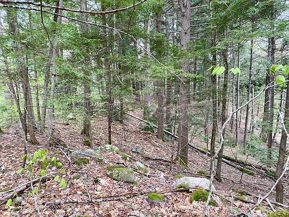 R9L6c Colcord Pond Road, Porter, ME 04068 | MLS #1589036 | Zillow