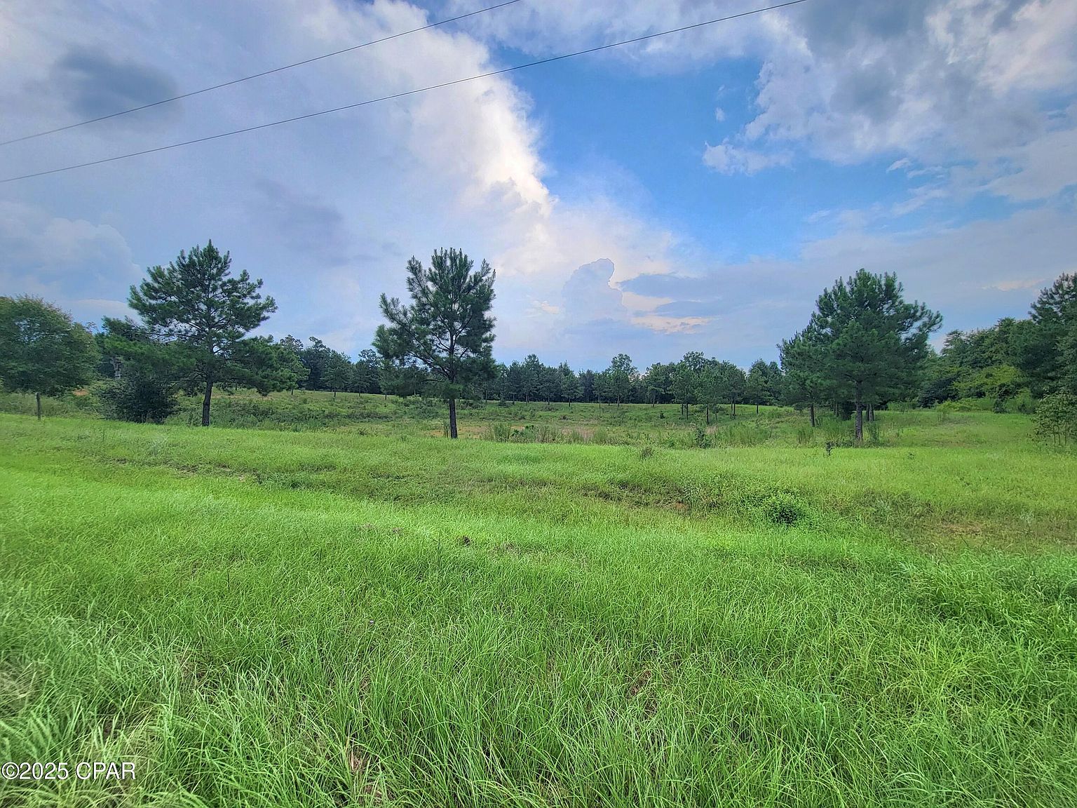 0 Lovedale Rd, Bascom, FL 32423 | MLS #777977 | Zillow