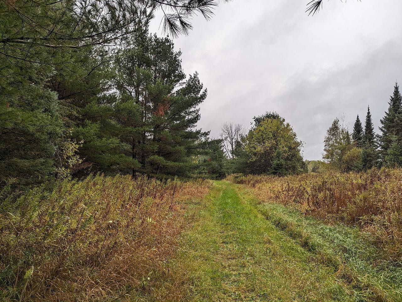 Pikes Peak Rd, Brantwood, WI 54513 | Zillow
