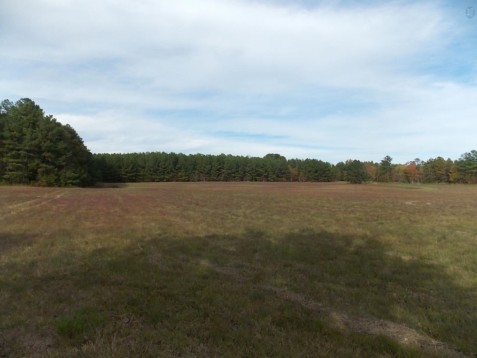 1205 Linden Hwy, Hohenwald, TN 38462 | Zillow