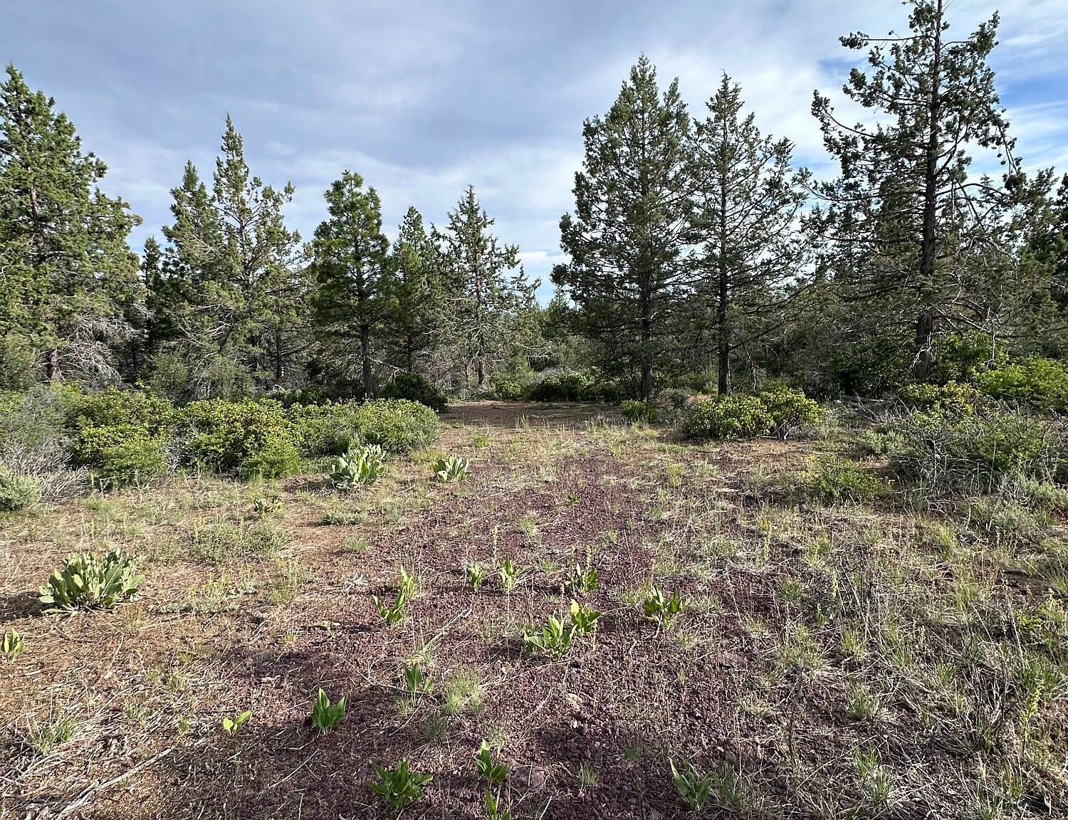 Porpoise Ln LOT 29, Bonanza, OR 97623 | MLS #220204745 | Zillow