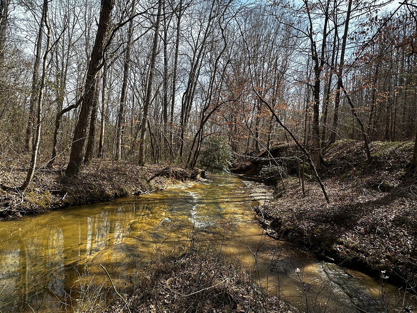 0 County Road 45, Carbon Hill, AL 35549 | MLS #11462577 | Zillow