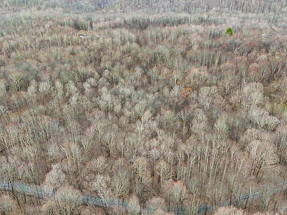 Molly Rd, Crawley, WV 24931 | MLS #25-362 | Zillow