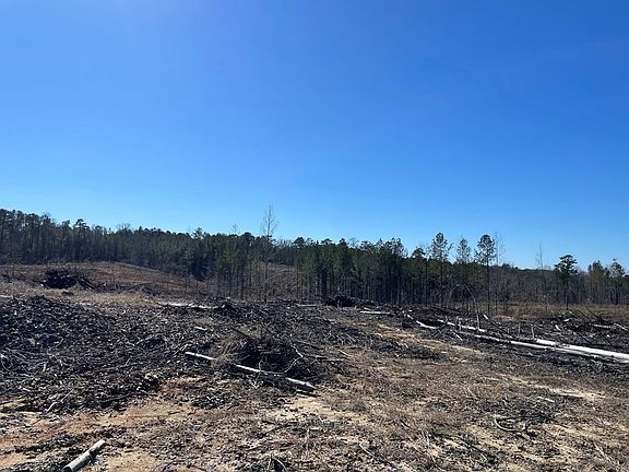 Fire Tower Rd, Pattison, MS 39144 | MLS #144033 | Zillow