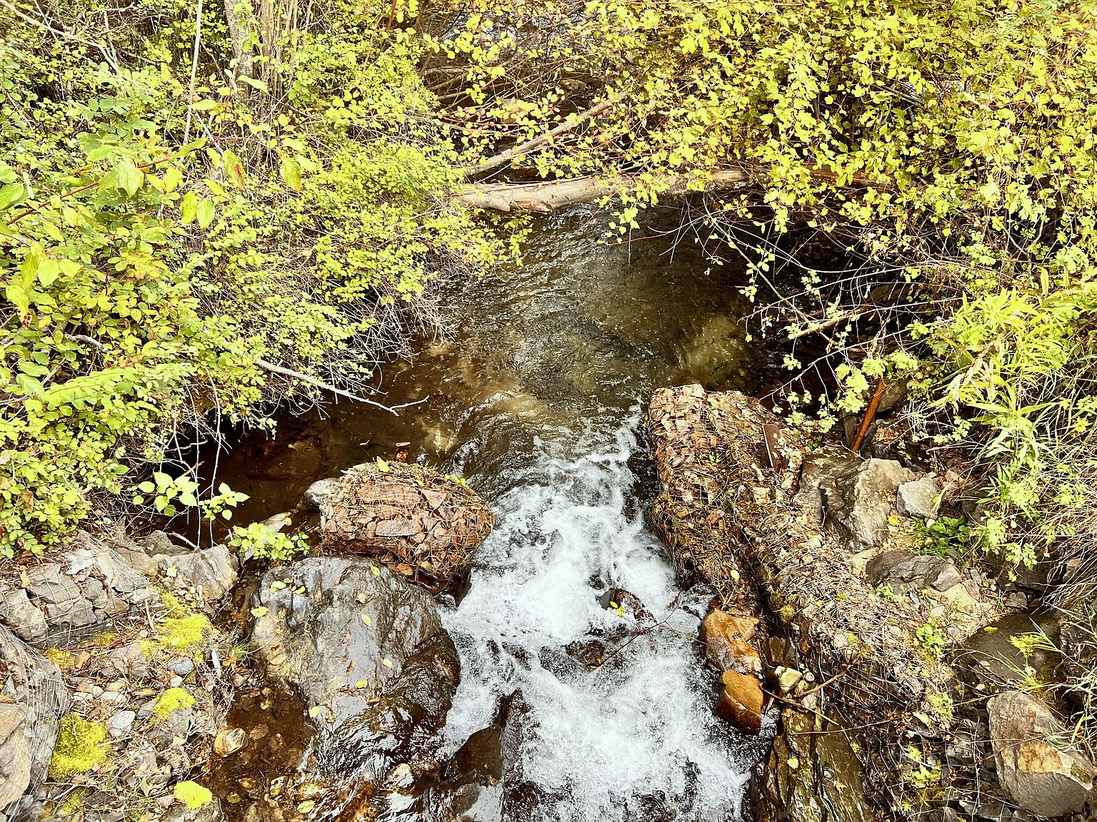 11 Jostin Ln, Malo, WA 99150 | Zillow