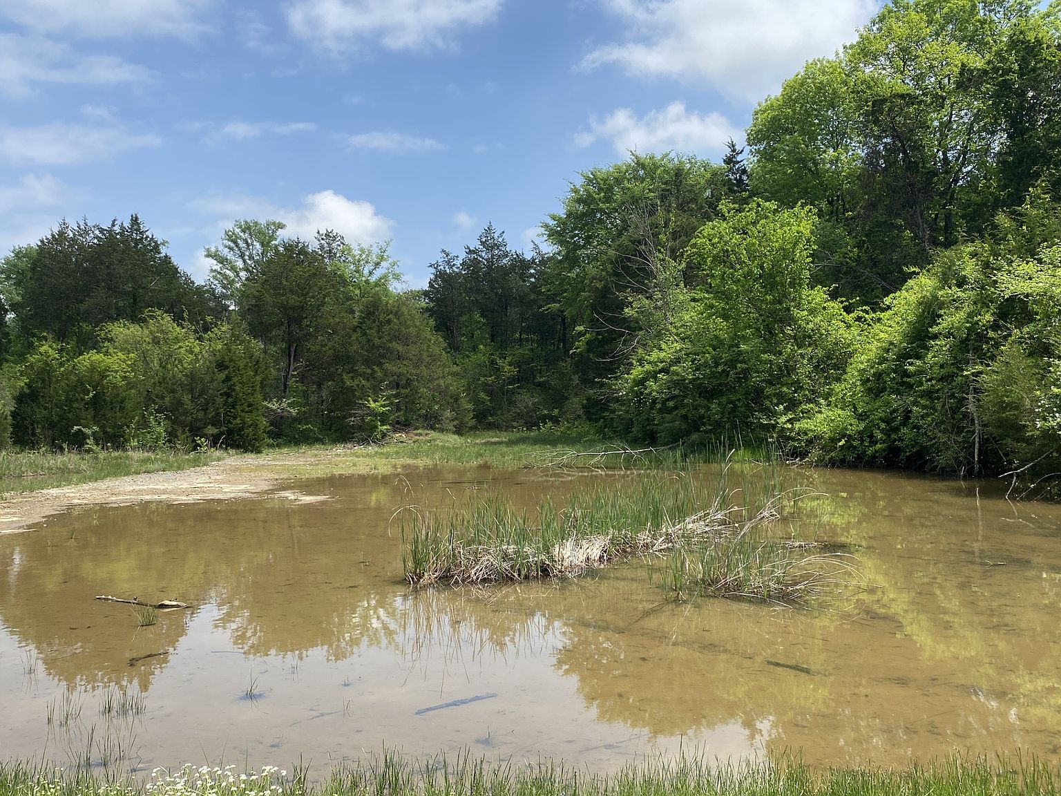 2624 Highway 64, Lewisburg, TN 37091 | MLS #2822644 | Zillow