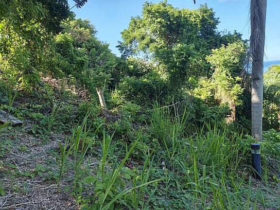 Urb Las Coles Carr 968 Km Lot 9-1.5, Palmer, PR 00721 | MLS #PRKWEB2000 ...