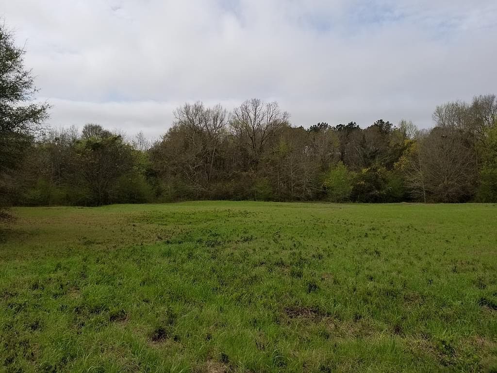 0 Suggs Rd, Headland, AL 36345 | MLS #202861 | Zillow