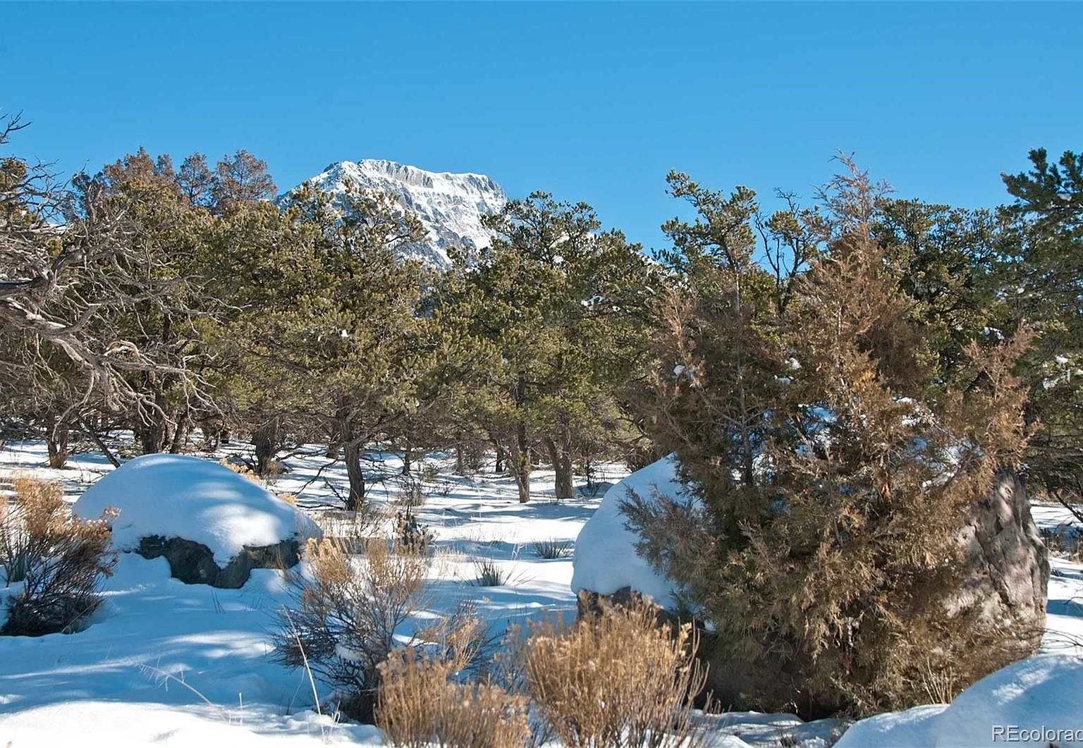 255 Baca Grant Way, Crestone, CO 81131 | Zillow