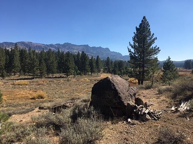 4769 Dixie Valley Rd, Chilcoot, CA 96105 | MLS #20231005 | Zillow