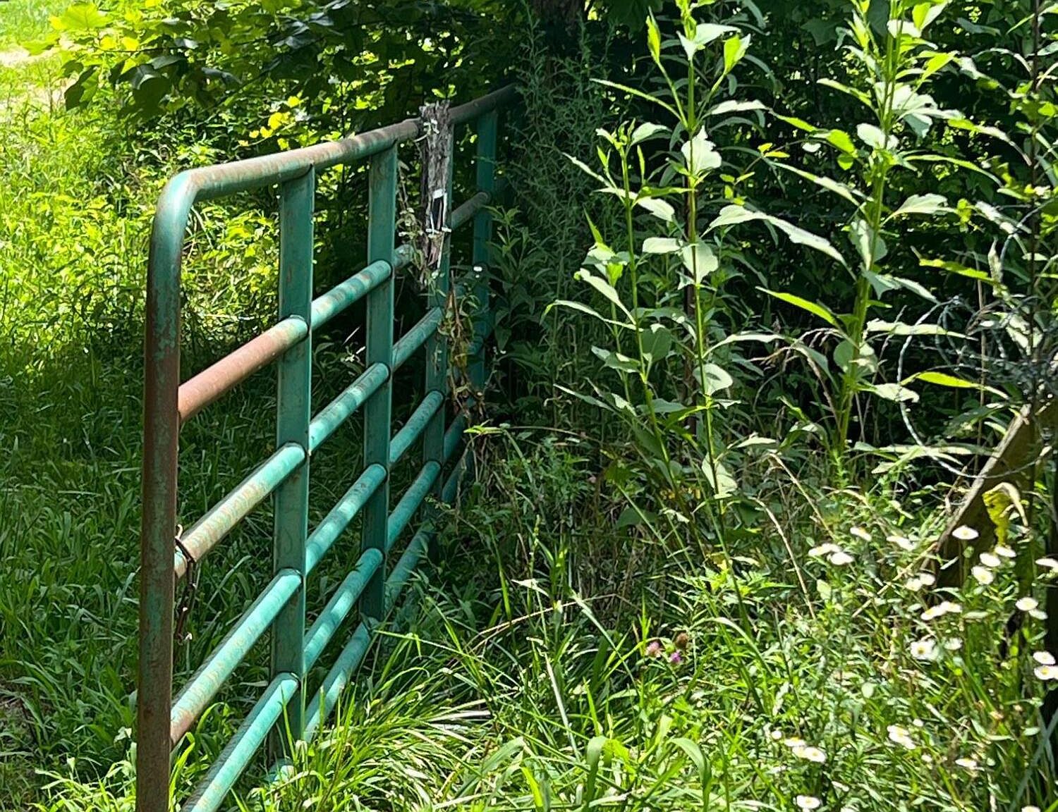 965 Parkers Branch Rd, Flat Lick, KY 40935 | Zillow