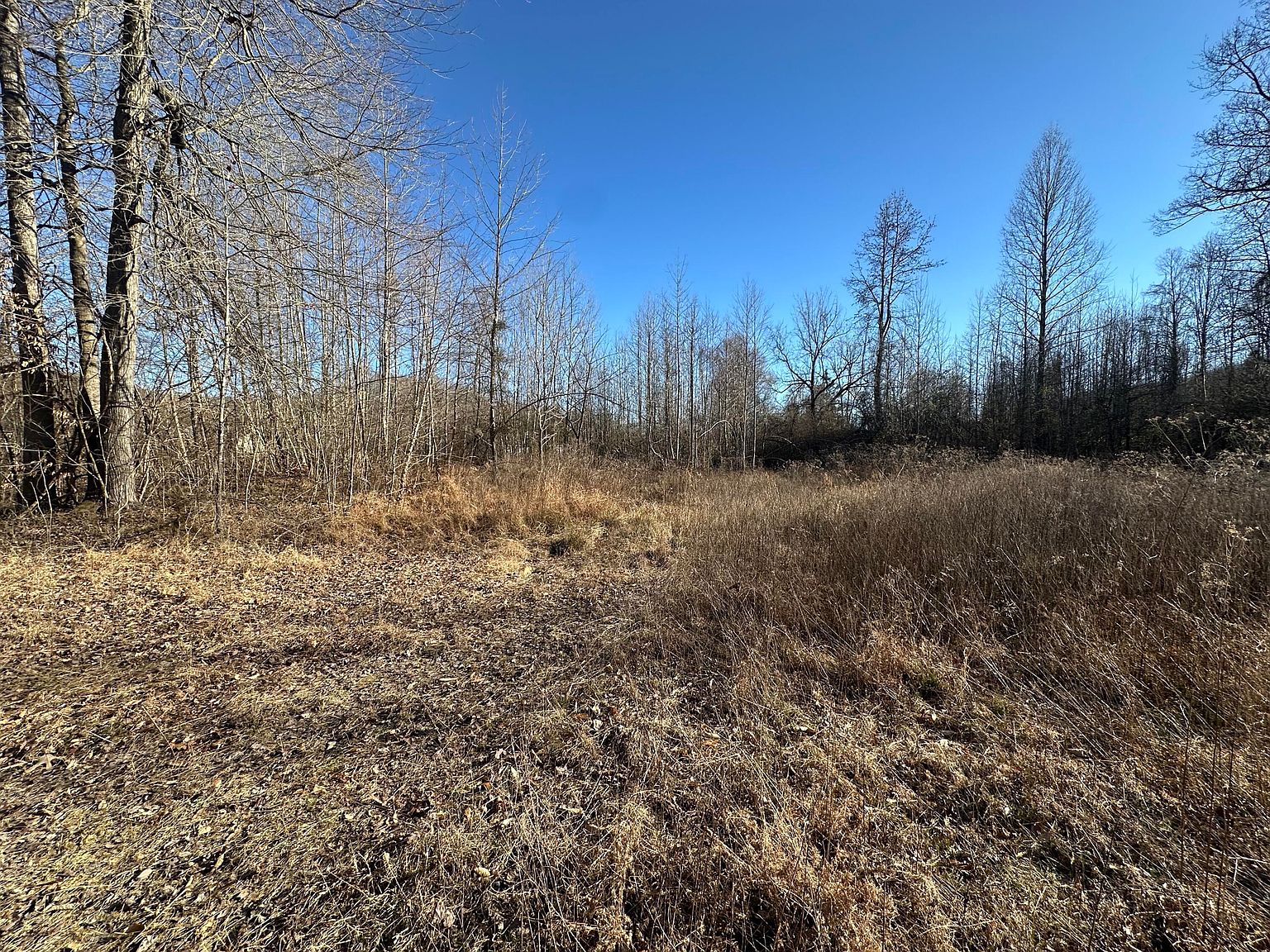 1111 Tackett Creek Rd, Williamsburg, KY 40769 | MLS #25000924 | Zillow