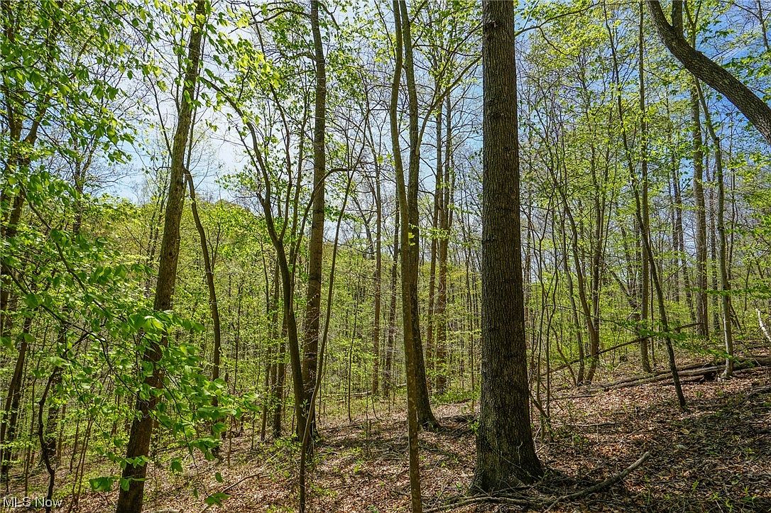 State Route 681, Londonderry, OH 45647 | Zillow