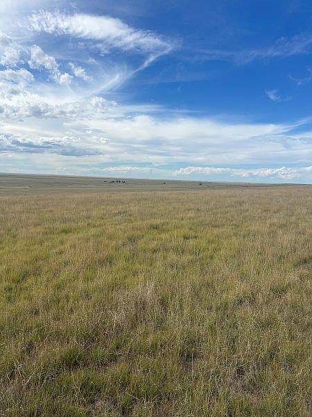 0 Road 15, Woodrow, CO 80757 | MLS #11531846 | Zillow