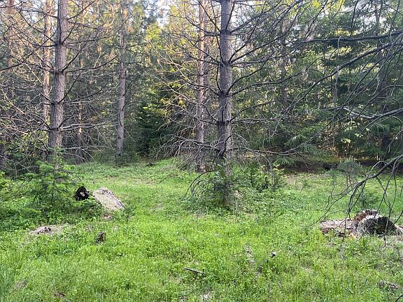 16605 Buckeye Rd, Nevada City, CA 95959 | MLS #223108963 | Zillow