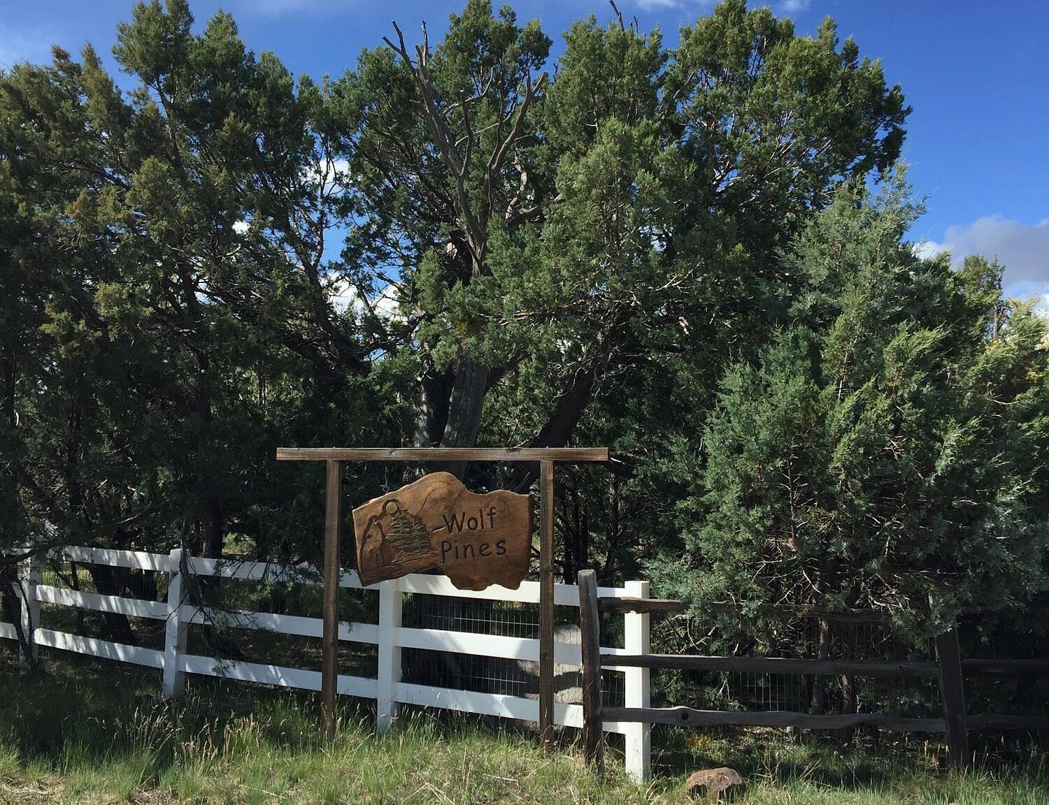 4817 Bison -- #42, Lakeside, AZ 85929 | MLS #6732250 | Zillow