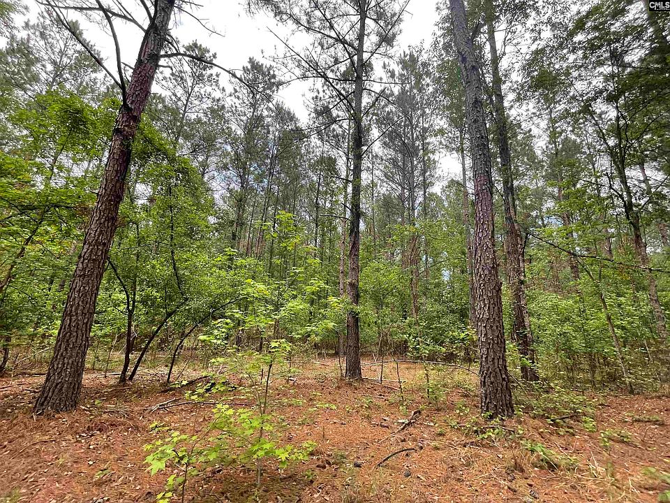Bull Swamp, North, SC 29112 | MLS #562649 | Zillow