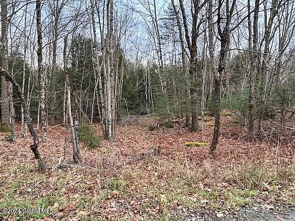 1A Nugent Road, Cropseyville, NY 12052 | MLS #202429237 | Zillow