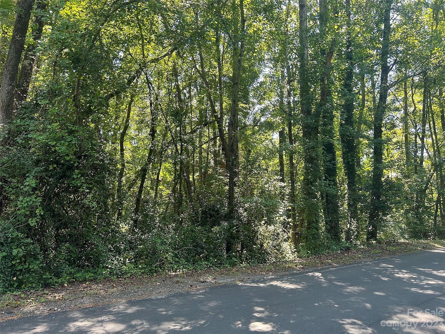 0 Thomas St, Rockingham, NC 28379 | MLS #4084968 | Zillow