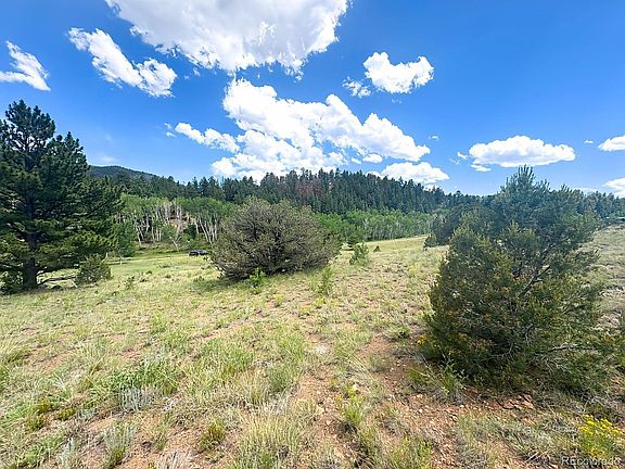 000 L12 Dilley Road, Westcliffe, CO 81252 | MLS #8074872 | Zillow