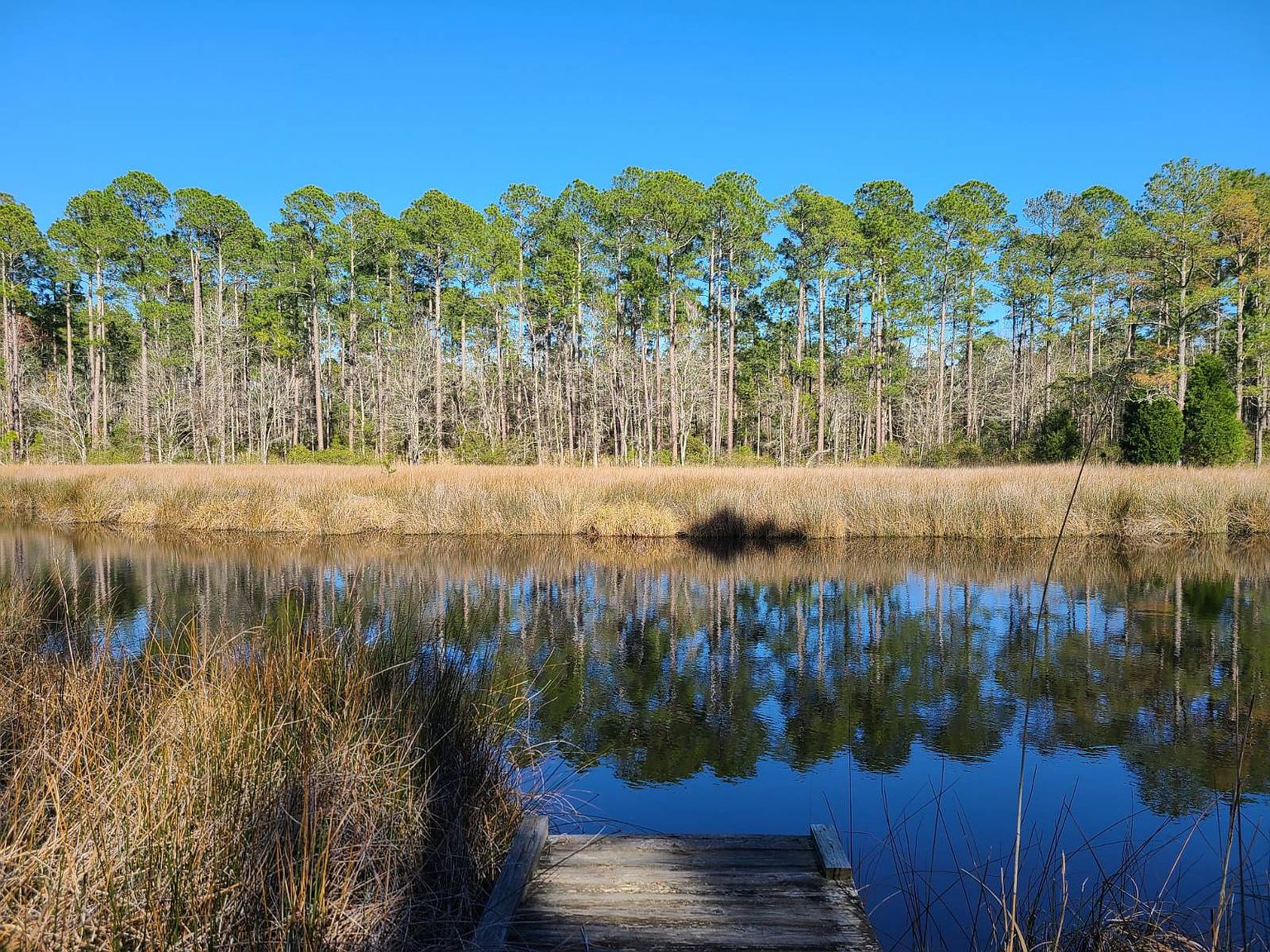 15 Windlass Way LOT 15, Aurora, NC 27806 | MLS #11450985 | Zillow