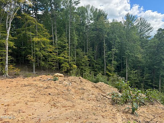 221 Shell Creek Rd, Roan Mountain, TN 37687 | MLS #9971609 | Zillow