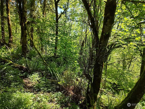 0 NE 294th Circle, La Center, WA 98629 | MLS #2239778 | Zillow