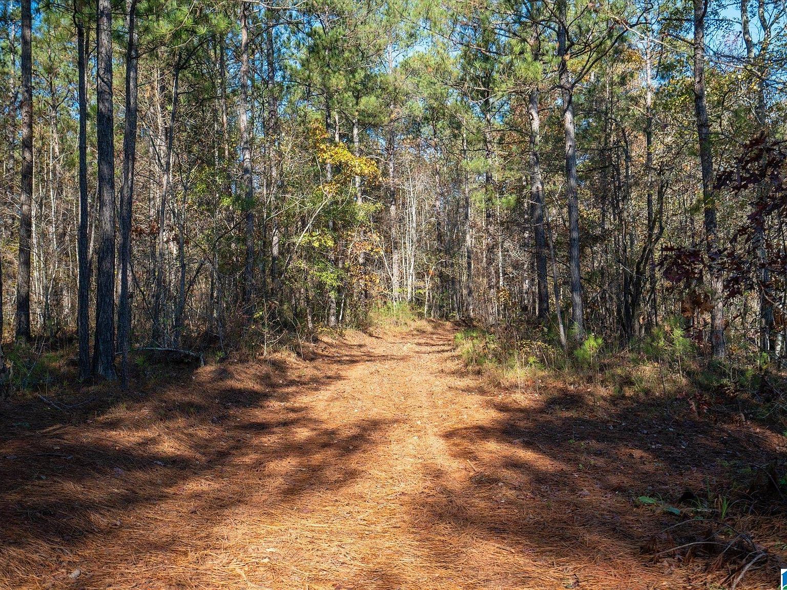 0 County Road 632, Roanoke, AL 36274 | MLS #21403377 | Zillow