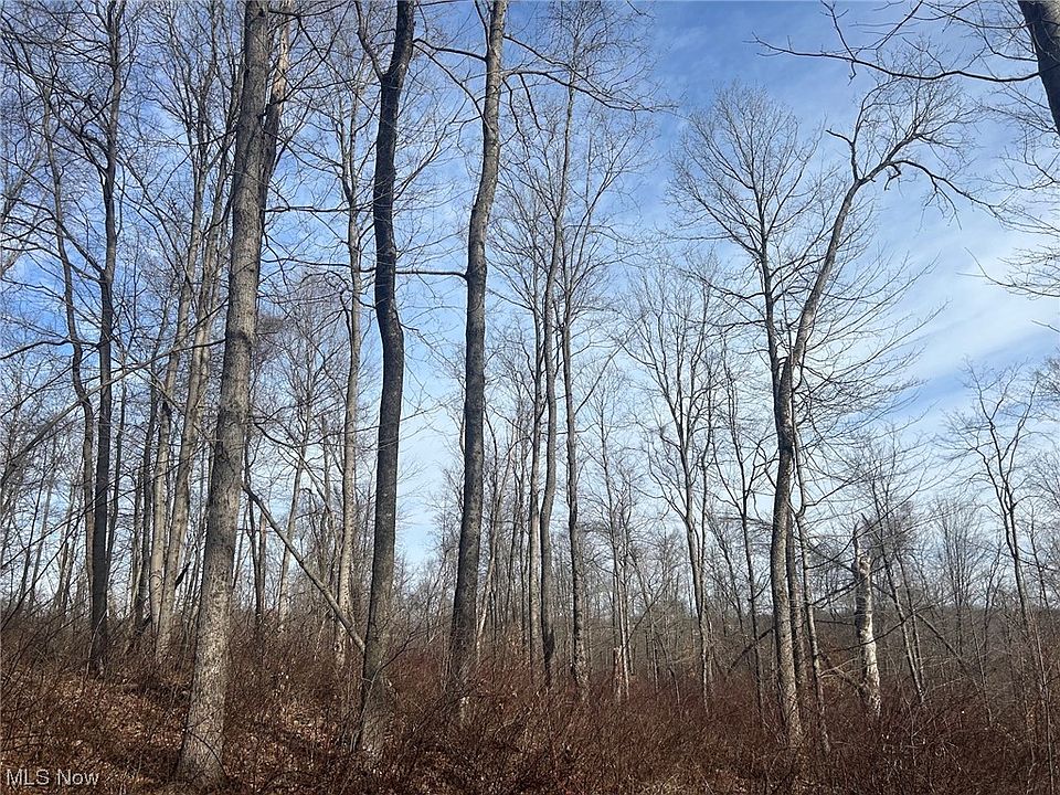 Township Road 57, Mount Perry, OH 43760 | Zillow