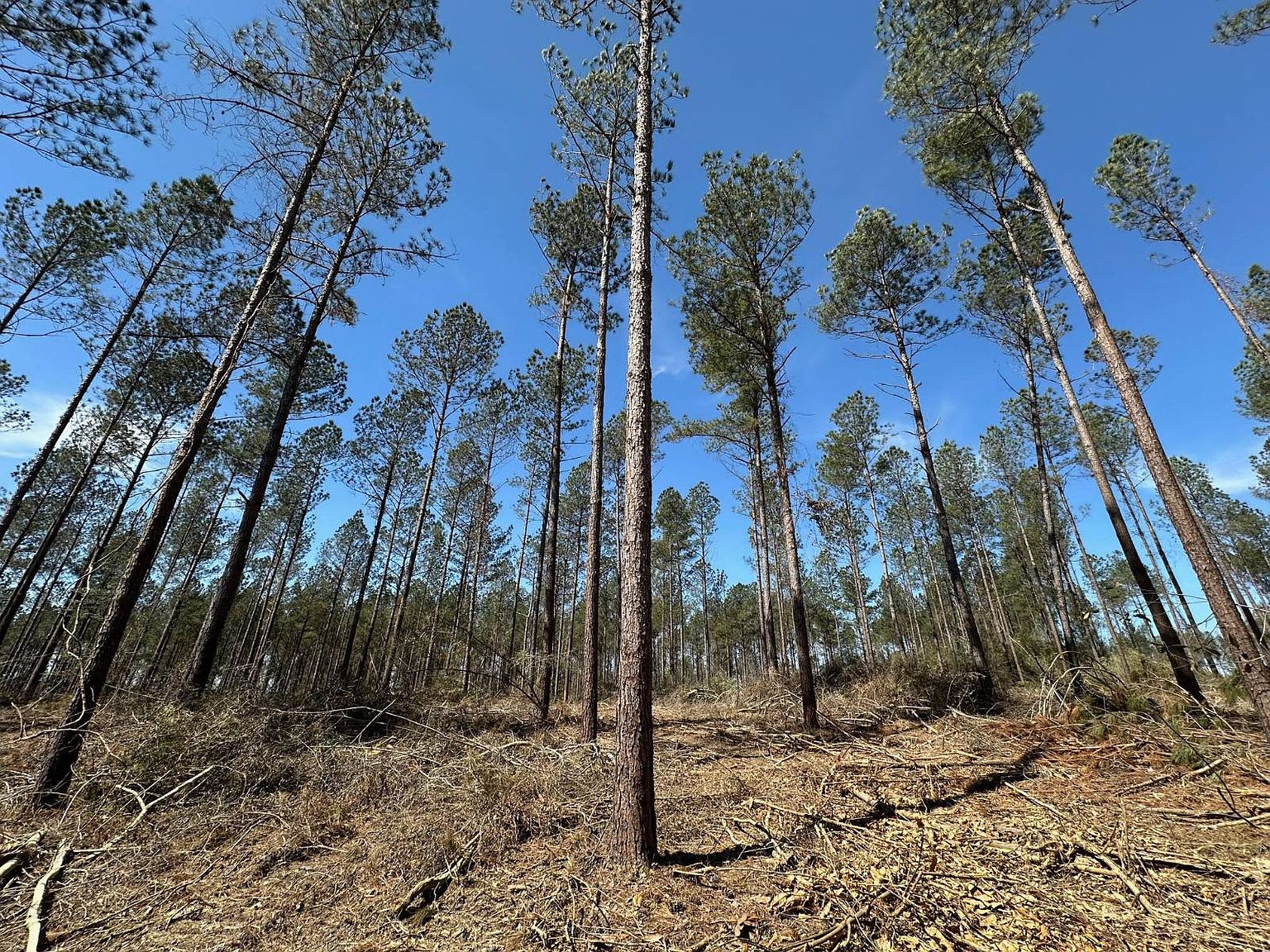 6 Highway 478, Pinola, MS 39149 | MLS #11455146 | Zillow