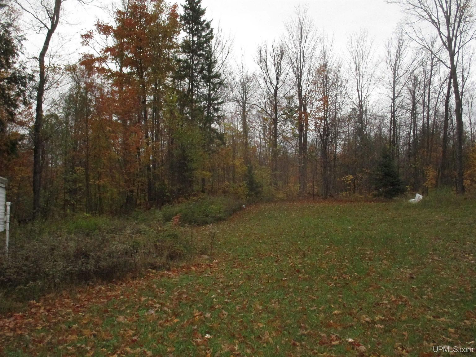 15530 Light Blue Rd, Nisula, MI 49952 | Zillow